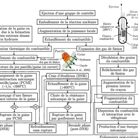 1 Assemblage Combustible Et Grappe De Commande Dun Rep Irsn Download Scientific Diagram