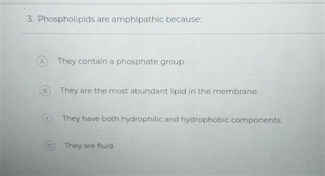 Solved Phospholipids Are Amphipathic Because They Contain A