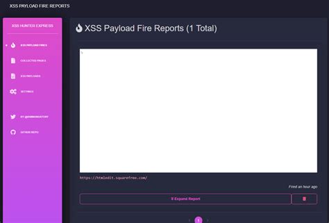 Setup Xss Hunter Express Self Hosted để Khai Thác Xss Ai Design Thiết Kế Web Theo Yêu Cầu