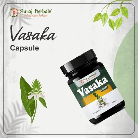 Vasaka Capsules 30 Capsules 500 Mg At ₹ 65bottle In Jaipur Id
