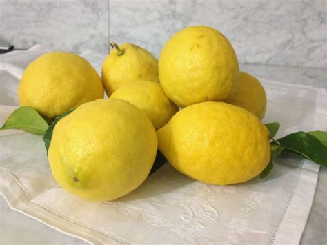 Limoni | Ricetta ed ingredienti dei Foodblogger italiani