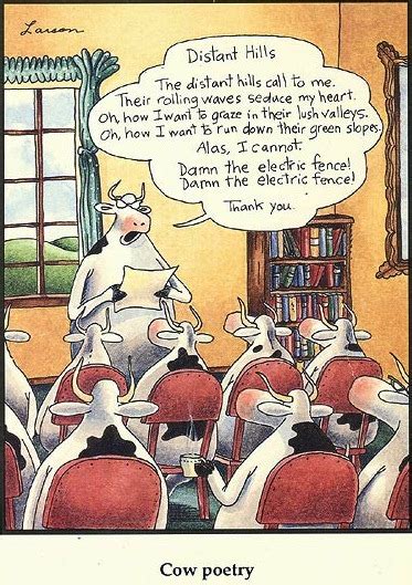 The Far Side Silver Birch Press
