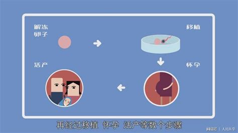 世上唯一后悔药？香港冰冻卵子干货篇 知乎