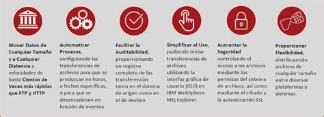 Ibm Websphere Mq File Transfer Edition B2b Solutions Es