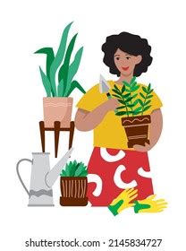 Young Girl Engaged Transplanting Indoor Plants Stock Vector Royalty
