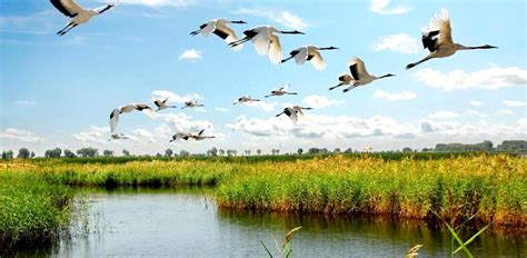 12 Days Mohe Aurora Tour Forever Travel