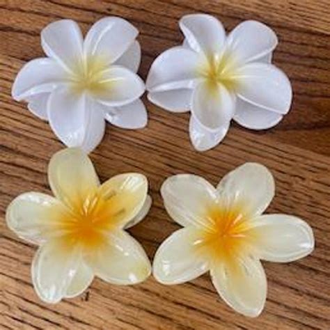 Hawaiian Hair Clips Etsy