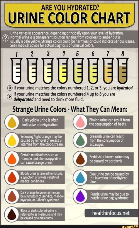 Dark Urine Color Chart
