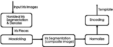 Mosaicking Work As A Component In The Whole Iris Recognition Process