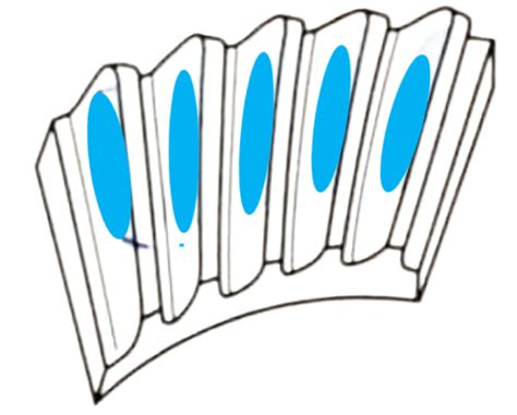 Reading Tooth Contact Of Crown Wheel And Pinion Limited Slip