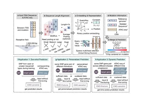 上海交通大学中文主页门户网站
