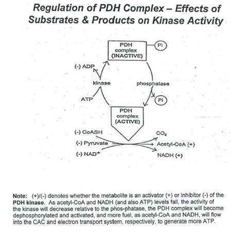 Tca V Flashcards Quizlet