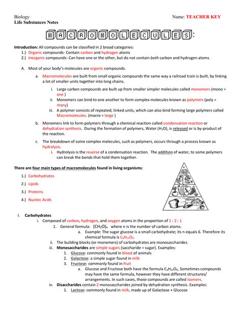 Macromolecules Worksheet High School E