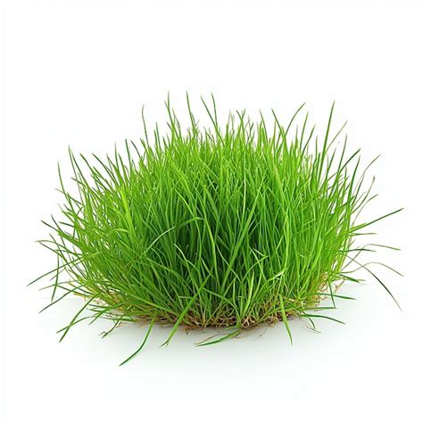 Grass Isolated On White Background Premium Ai Generated Image