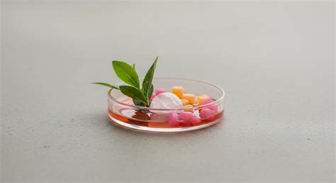 Formative Experiences → Term