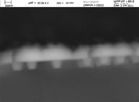 Sem Image Side View Of Co Nanoarrays In Sio2n Si Template