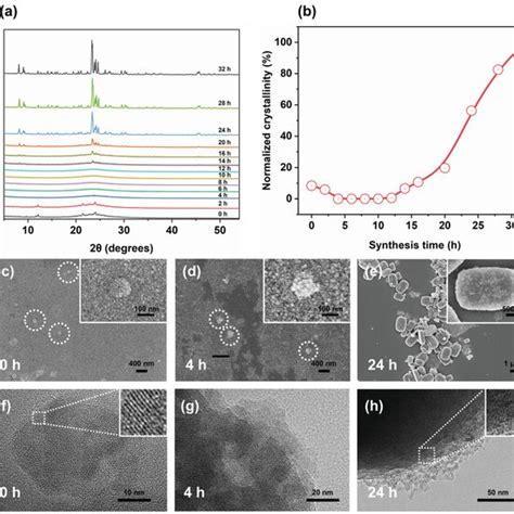 time‐dependent structural evolution revealing etching growth behavior