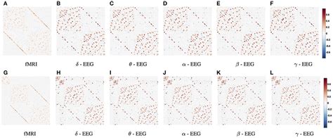 Average Functional Connectivity Matrices Across Subjects In Fmri And