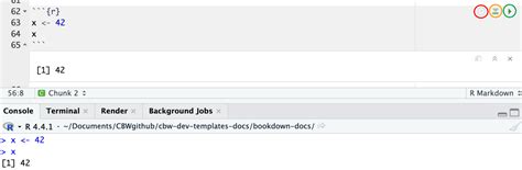 8 how to render compile code cbw s bookdown template documentation