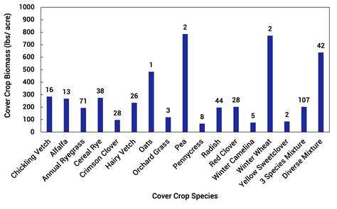 Inter Seeding Cover Crops Into Corn