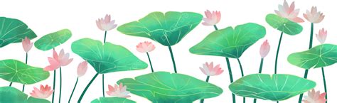 연꽃 잎 연꽃 식물 연잎 로터스 꽃들 Png 일러스트 및 Psd 이미지 무료 다운로드 Pngtree