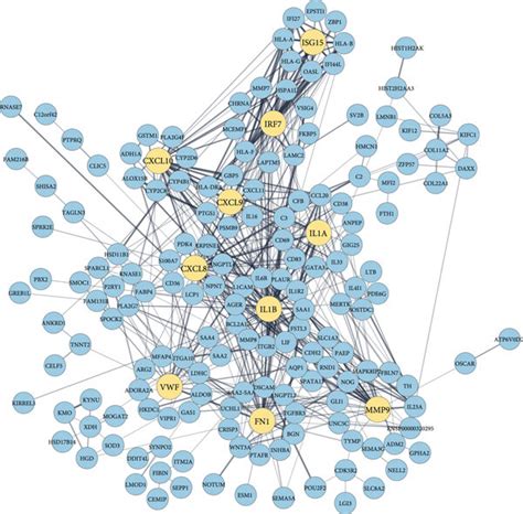 Hub Proteins From Ppi Analysis Where The Cyan Color Nodes Are Proteins Download Scientific
