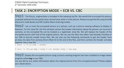 Solved Task 2 Encryption Mode Ecb Vs Cbc Step 1 The File 1