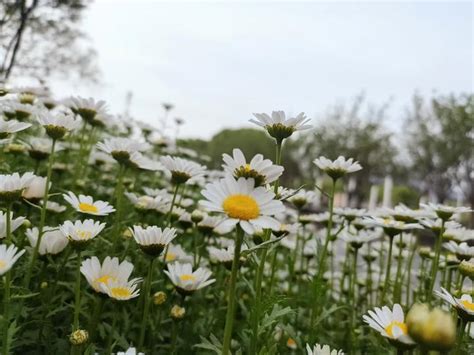 静态”之静——深入解析c中的static关键字 知乎