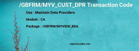 GBFRM MYV CUST DPR SAP Tcode For Maintain Data Providers