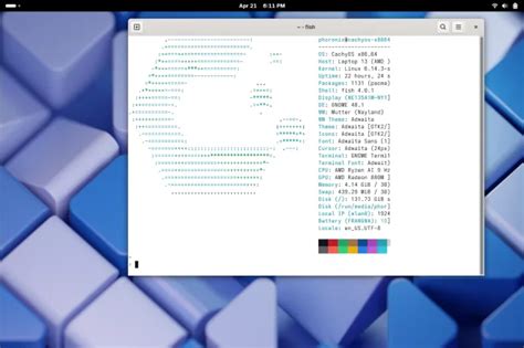 Cachyos Clear Linux And Debian 13 Deliver The Best Performance On Framework Laptop 13 With Amd