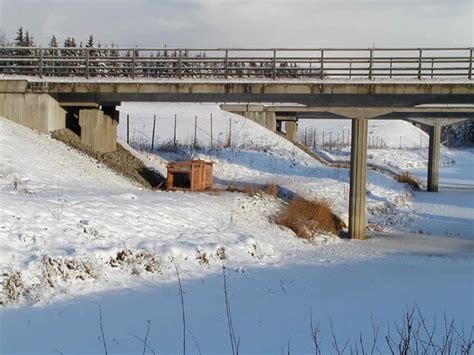 Biodiversity Infrastructure Handbook 5 5 30 Adapted Viaduct