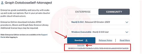 how to install neo4j on windows step by step guide
