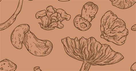 다양한 종류의 숲 버섯의 상세한 라인 아트워크가 이 매끄러운 패턴을 형성합니다 글로벌 컬러 쉽게 변경할 수 있습니다 벡터 Unsplash의 그림 이미지