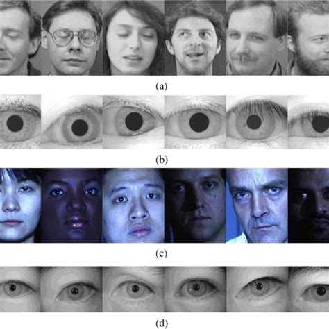 Multimodal Biometric Databases A D Orl Casiav10 Pie Illum And Download Scientific