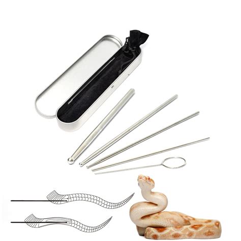 Nf Snake Probe Kit Professional 5 Pieces Snake Sexing Probes Stainless Steel Reptile Gender Nf Snake Probe Kit Professional 5 Pieces Snake Sexing Probes Stainless Steel Reptile Gender