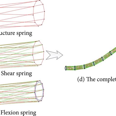 The Mass Spring Model For Helix Strand Structure Download Scientific