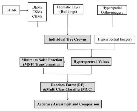 Forests Free Full Text Object Based Tree Species Classification In Urban Ecosystems Using