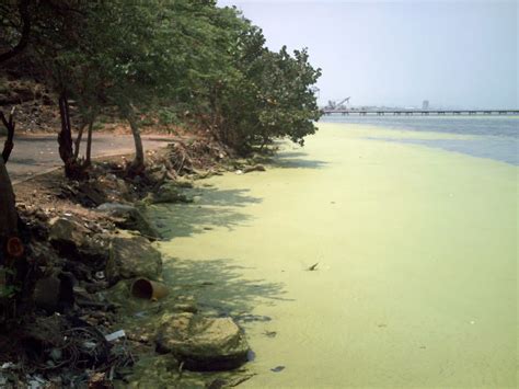 Lake Maracaibo