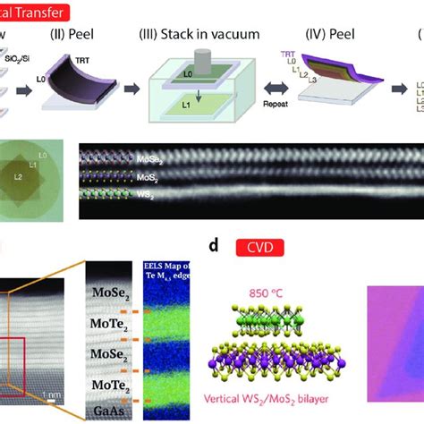 A Surface Relaxation B Surface Reconstruction C Interfacial Download Scientific Diagram