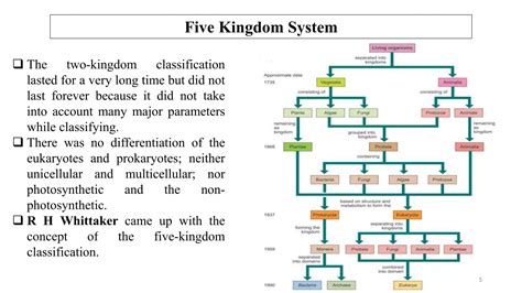 Introduction To Prokaryotes And Eukaryotes Pptx