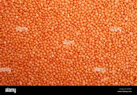 Red Lentils Pattern Hi Res Stock Photography And Images Alamy