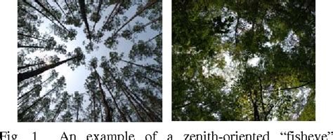 Figure 1 From Estimating High Resolution Directional Clutter Maps In Forested Terrain Using