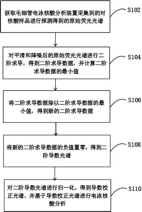 Capillary Electrophoresis Nucleic Acid Analysis Method And System Eureka Patsnap