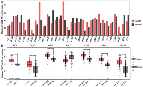 pan cancer expression patterns for lncrna fgd5 as1 a fgd5 as1