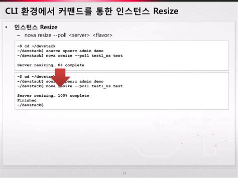 Openstack Instance Resize PDF