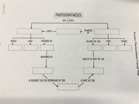 Photosynthesis Flow Chart Answers Photosynthesis And Cellular