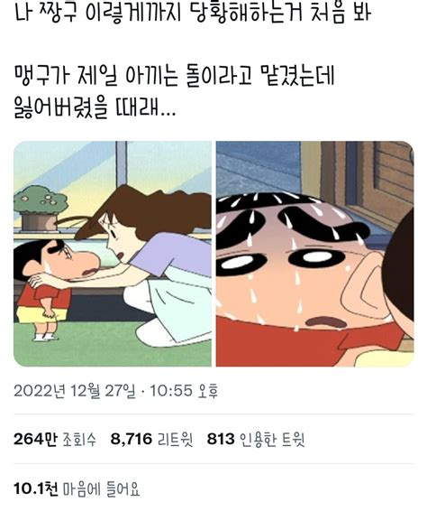 나 짱구 이렇게까지 당황해하는거 처음 봐 인스티즈 Instiz 이슈 카테고리