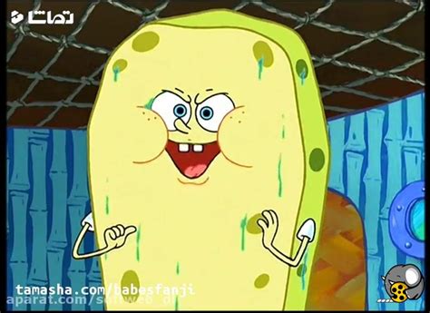 کارتون باب اسفنجی انیمیشن باب اسفنجی و پاتریک فیلو