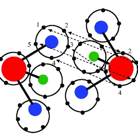 Graphical Illustration Of The Path Integralpolymer Ring Representation