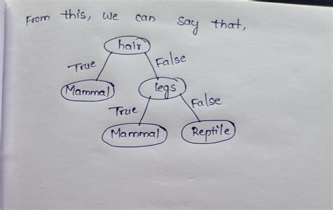 Solved For Following Dataset Construct A Decision Tree With Decision Course Hero